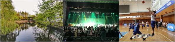 School Overview-SHSID