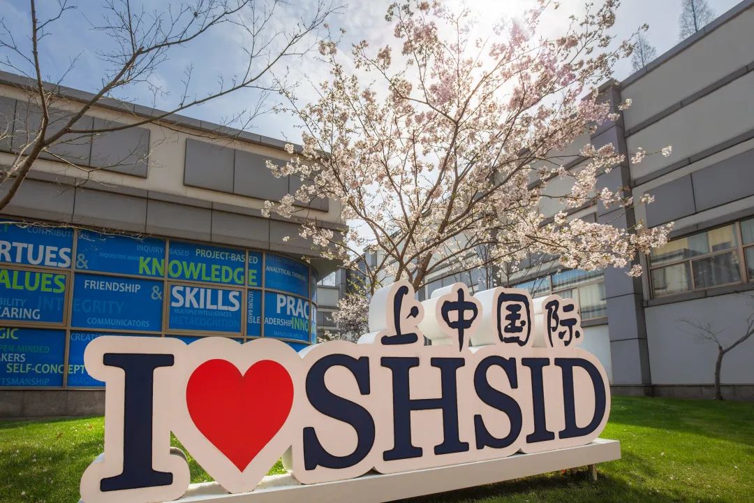 Listen to the Sound of Blossoms — the College Application Results of ...